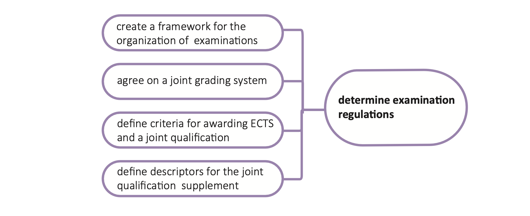 Determine examination regulations