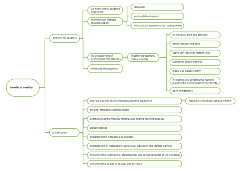 Benefits of physical and digital student mobility